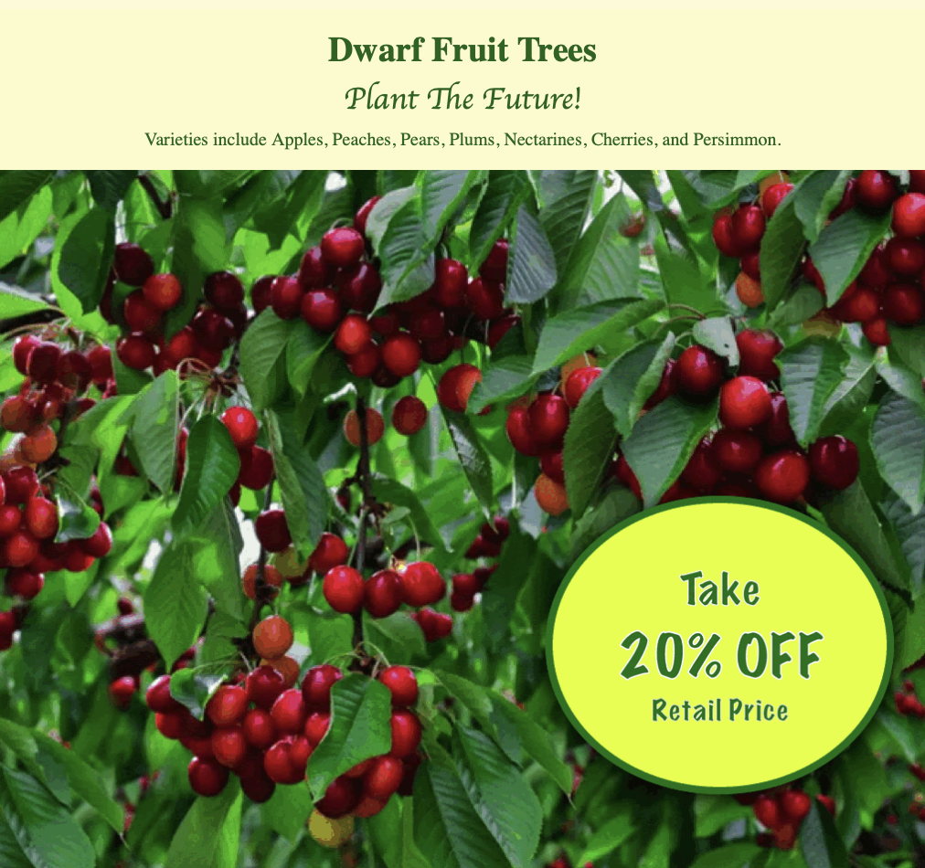 Offers and Promotions - Garden World