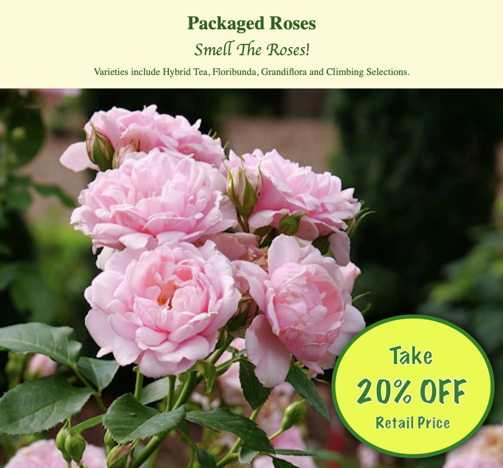 Offers and Promotions - Garden World
