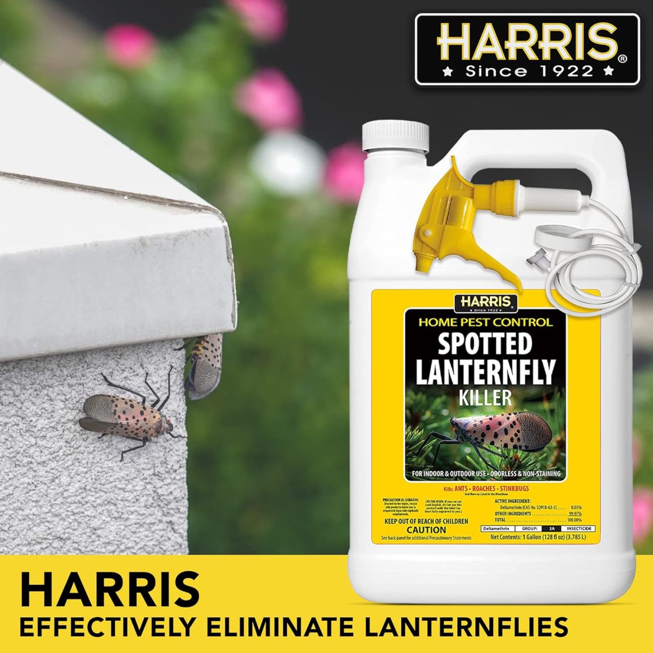 Harris Spotted Lantern Fly Killer Spray - Garden World